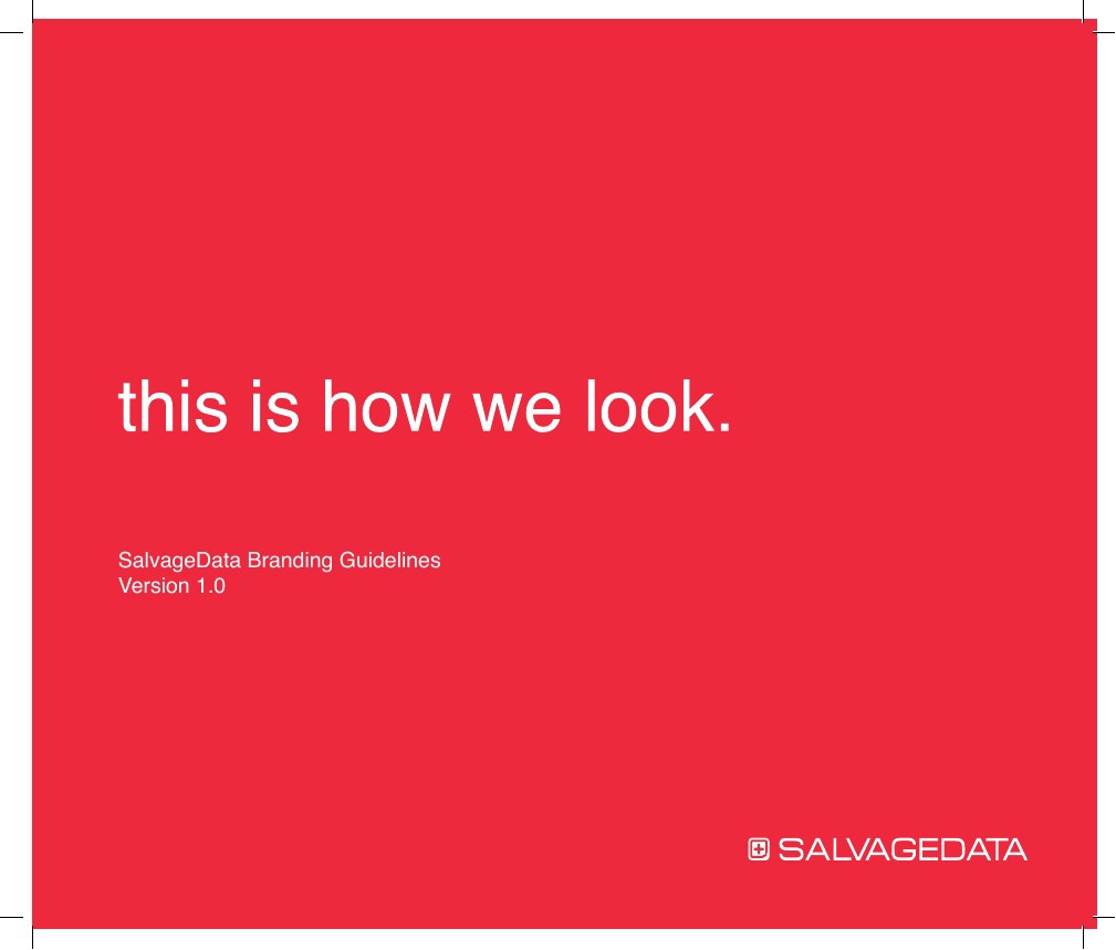 SalvageData brand guidelines by Kyhry - Flipsnack
