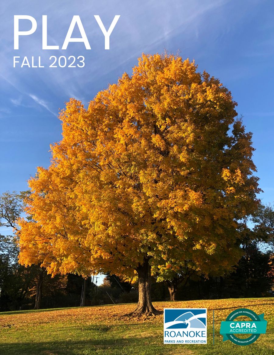 Fall PLAY 2023 by Play Roanoke - Flipsnack