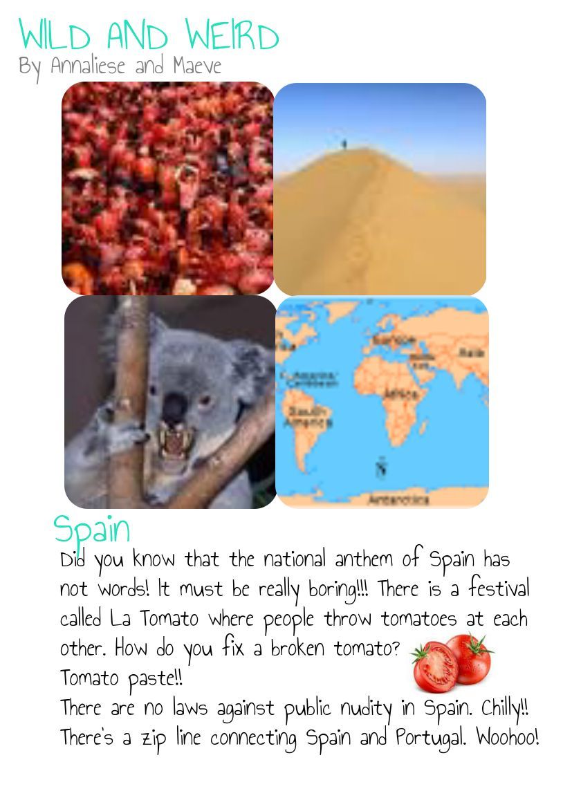 Wild and Weird by goingbeyond - Flipsnack