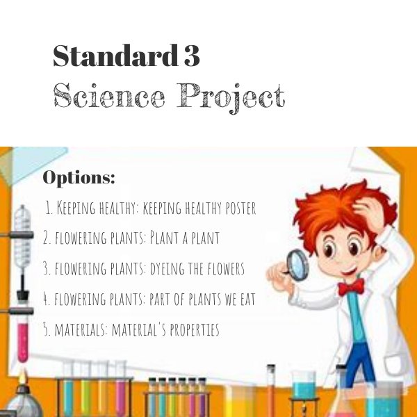 Standard 3 Science Project by Huey Shing Tan - Flipsnack