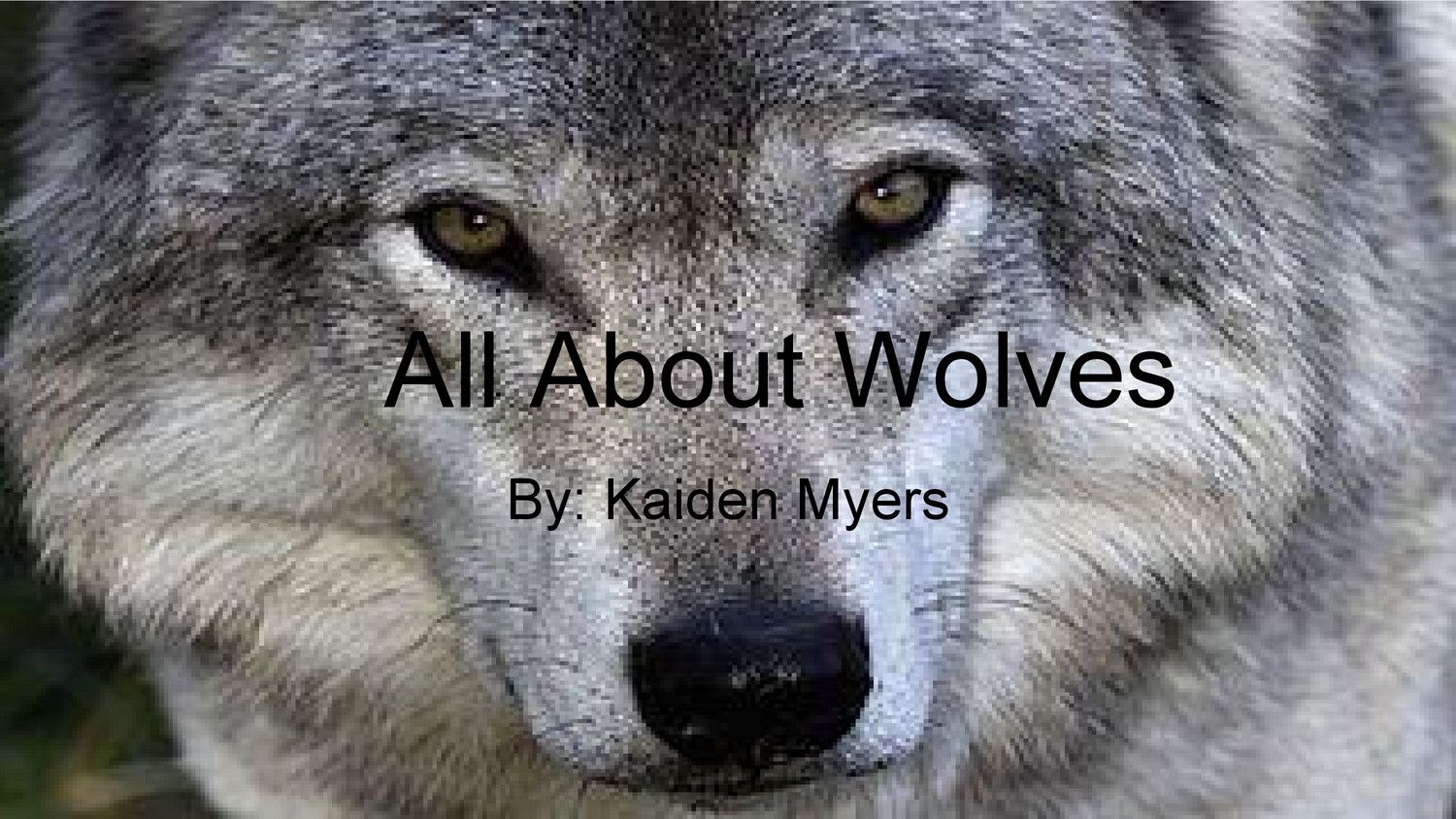 Non-fiction Book - Kaiden Myers (2) by Kaiden Myers - Flipsnack