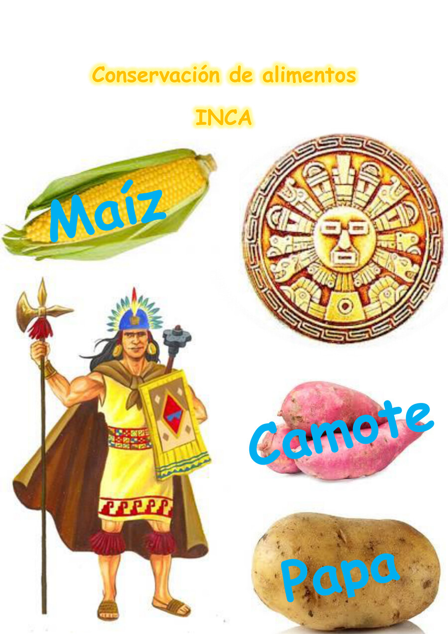 Conservación de alimentos INCA by Leonardo... - Flipsnack