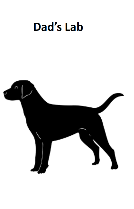 Dad's Lab-Decodable Text by Holly Slaughter - Flipsnack