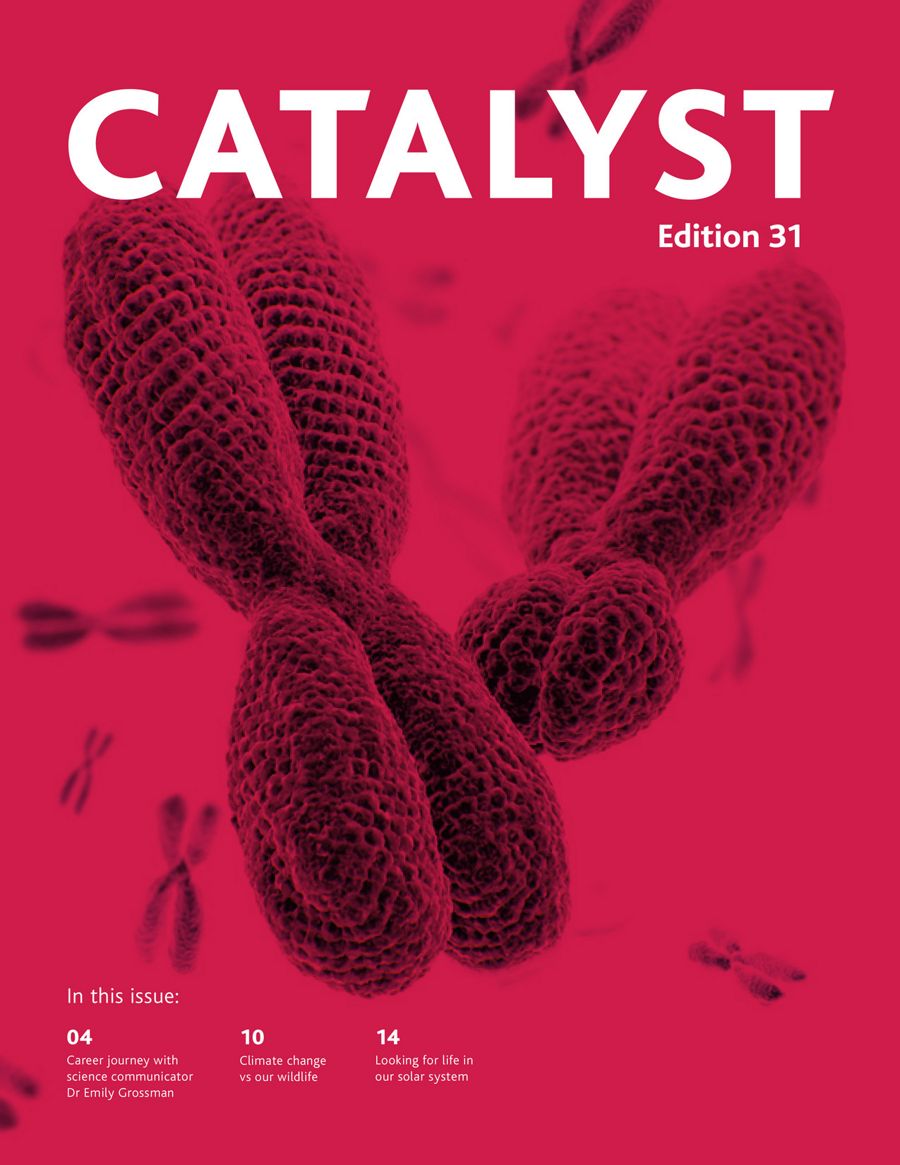 Catalyst - Edition 31 by STEM Learning