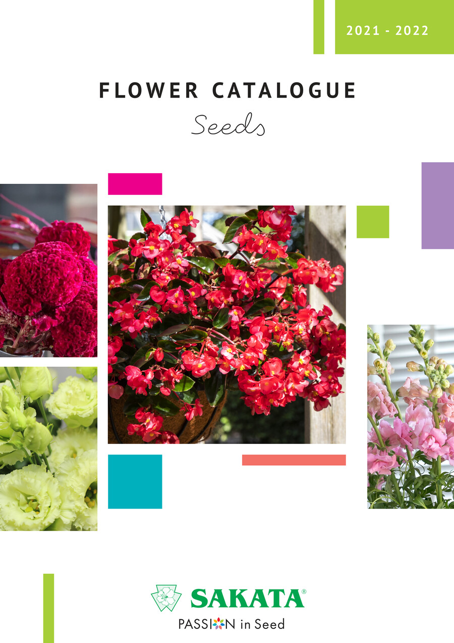 Sakata_Seeds2020_Catalogue_Concept_V2 by Mark den Bakker - Flipsnack