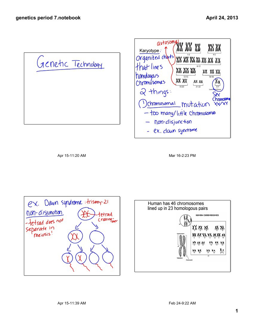genetic engineering review from google quiz and packet by Heidi - Flipsnack