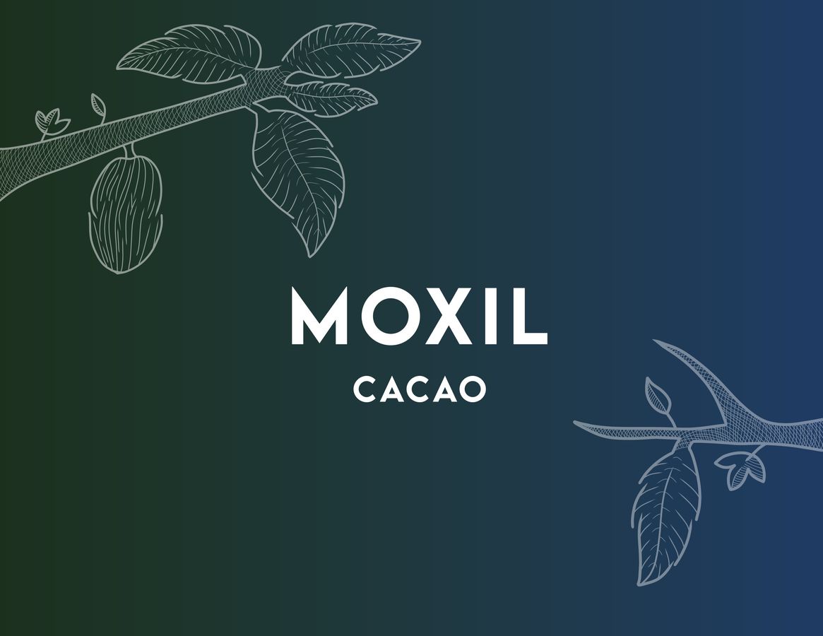 Manual Moxil Cacao by Emma... - Flipsnack