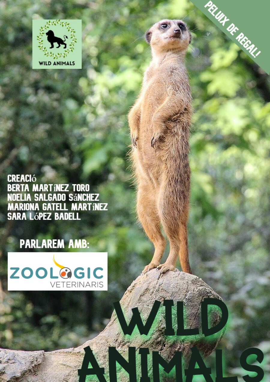 Revista Wild Animals by Mar 011 - Flipsnack
