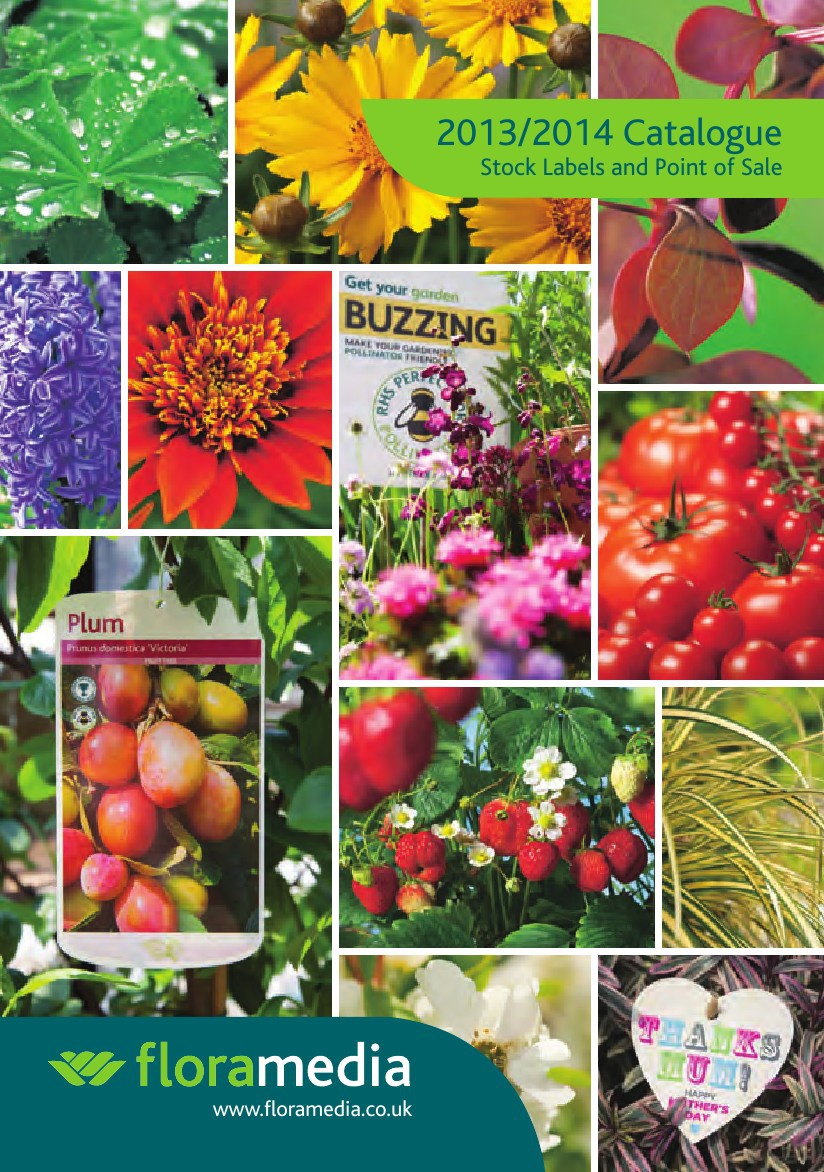 Floramedia Catalogue by nikki.taylor - Flipsnack