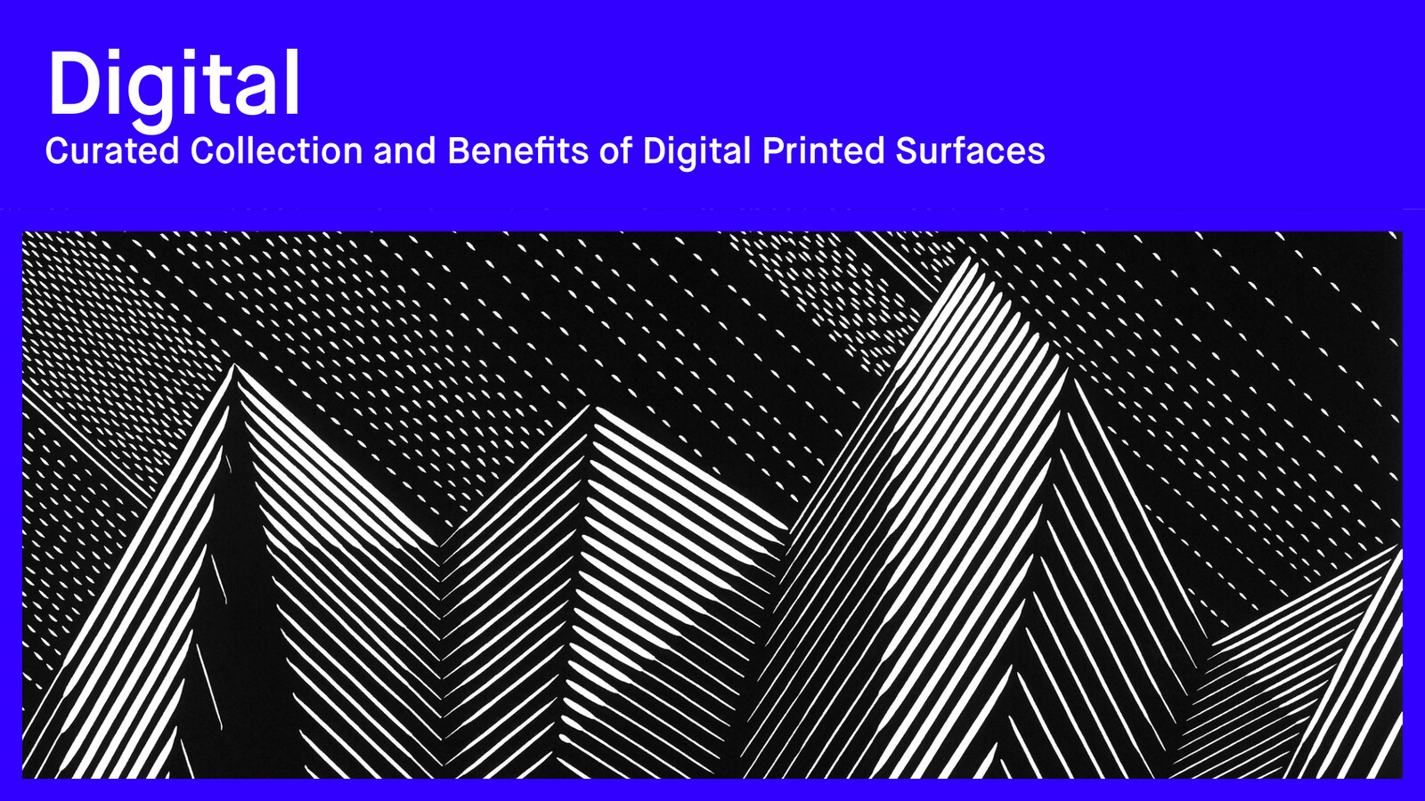 2021_05_Curated_VSP by Emily Hogle - Flipsnack