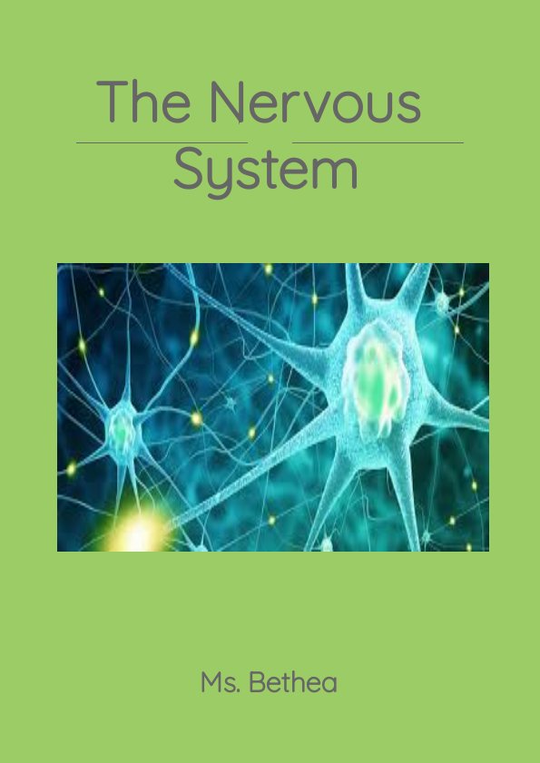 Sample Nervous System Flipbook by jbethea5 - Flipsnack