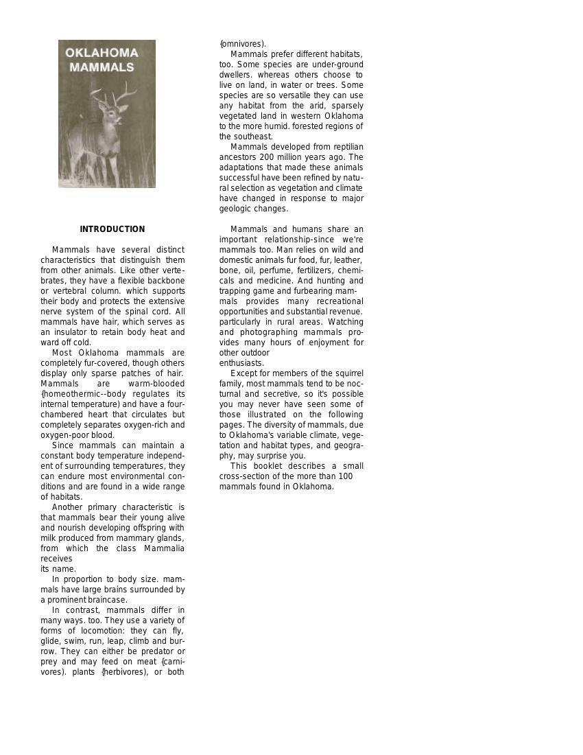 Characteristics of Mammals by Lulu - Flipsnack