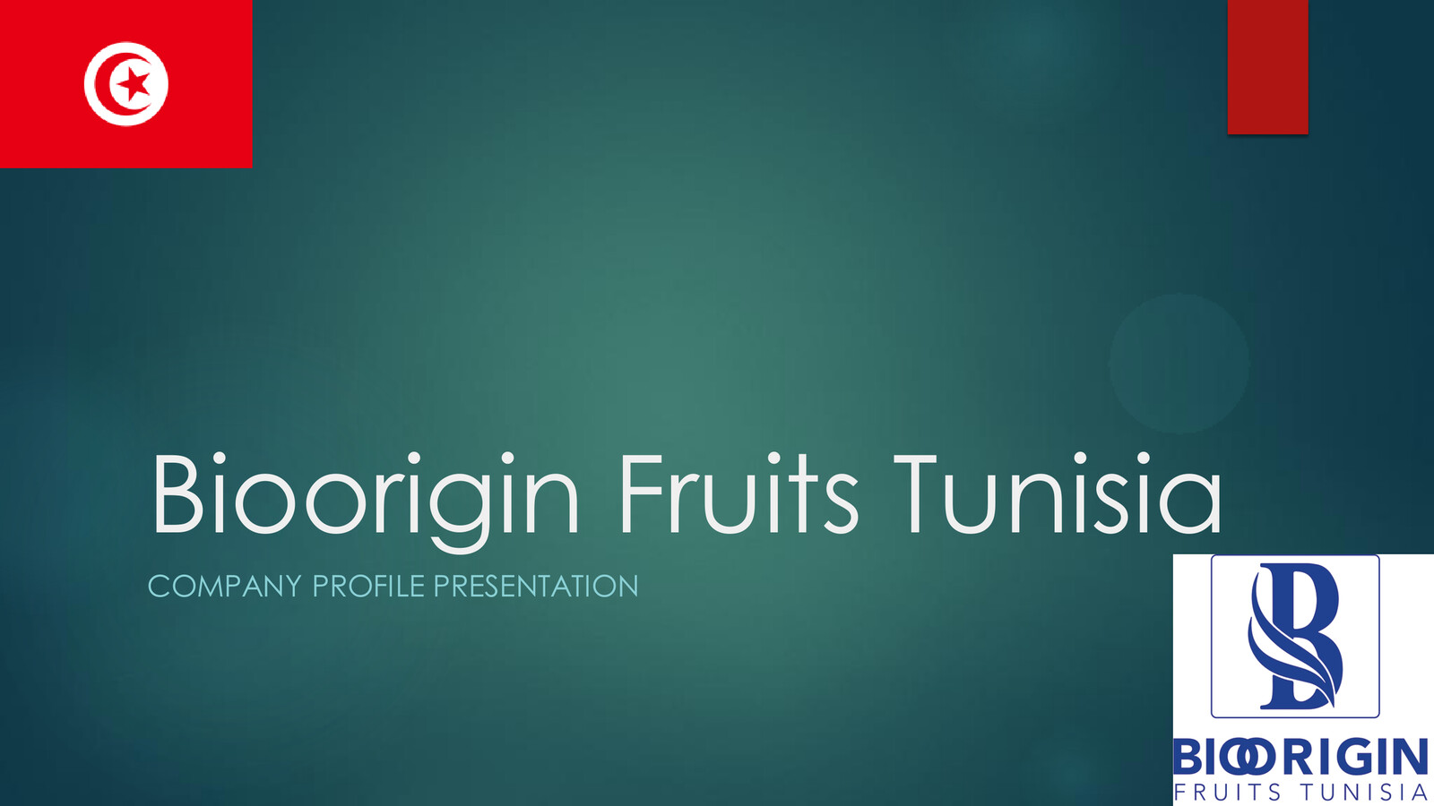 company profile BIOORIGIN FRUITS 2020 by BIOORIGIN FRUITS - Flipsnack