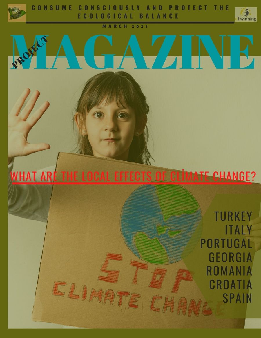 PROJECT MAGAZINE by project - Flipsnack