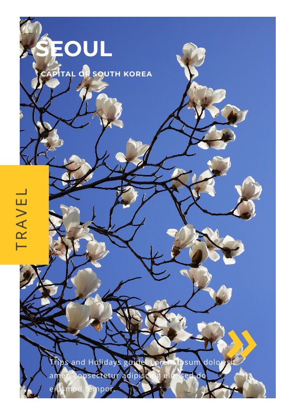 Copy of Seoul, South Korea Brochures by Refiloe Leeuw - Flipsnack