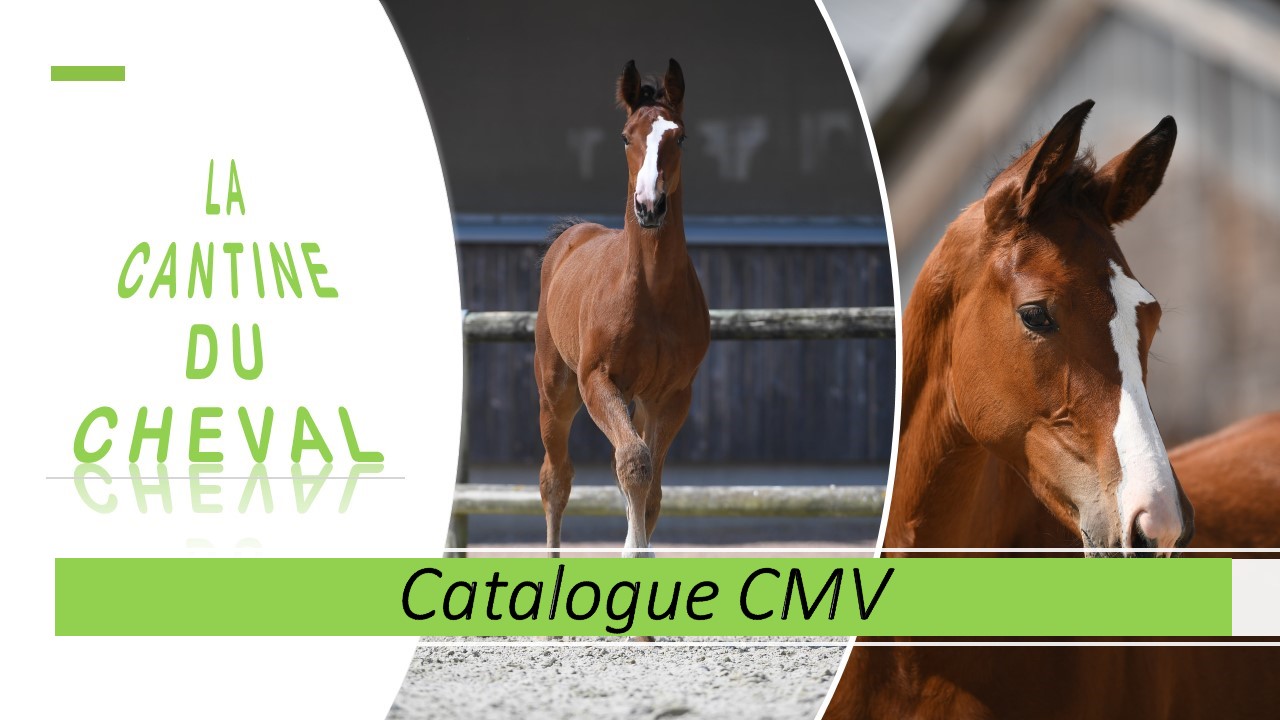 Catalogue CMV La Cantine du Cheval by - Flipsnack