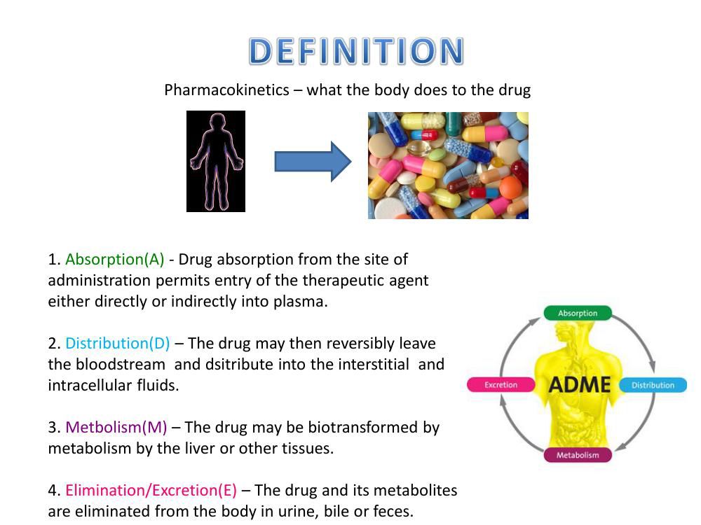 Pharmacokinetics Task 1 : ADME by Amanda Lee - Flipsnack
