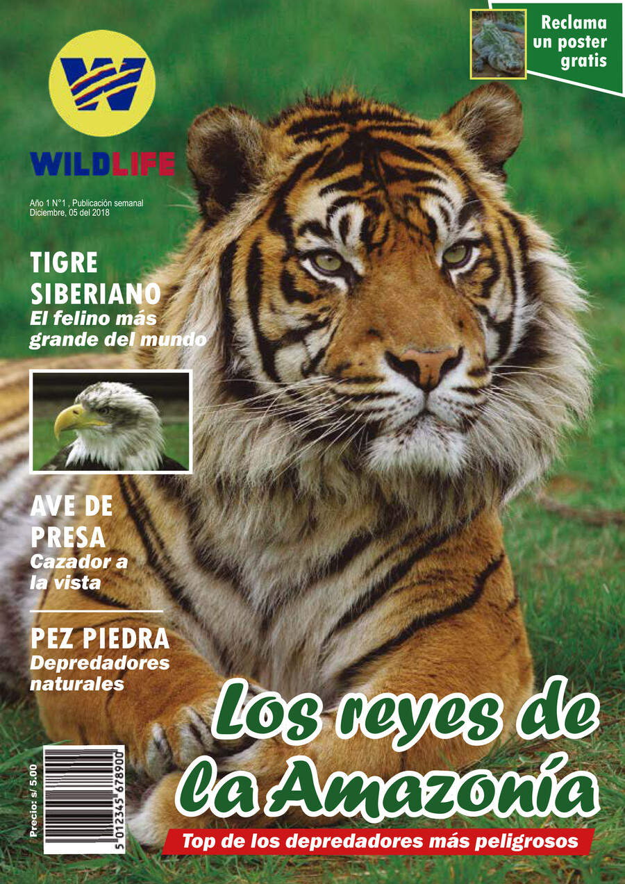 REVISTA ANIMAL by Romy Espinoza Vinces - Flipsnack