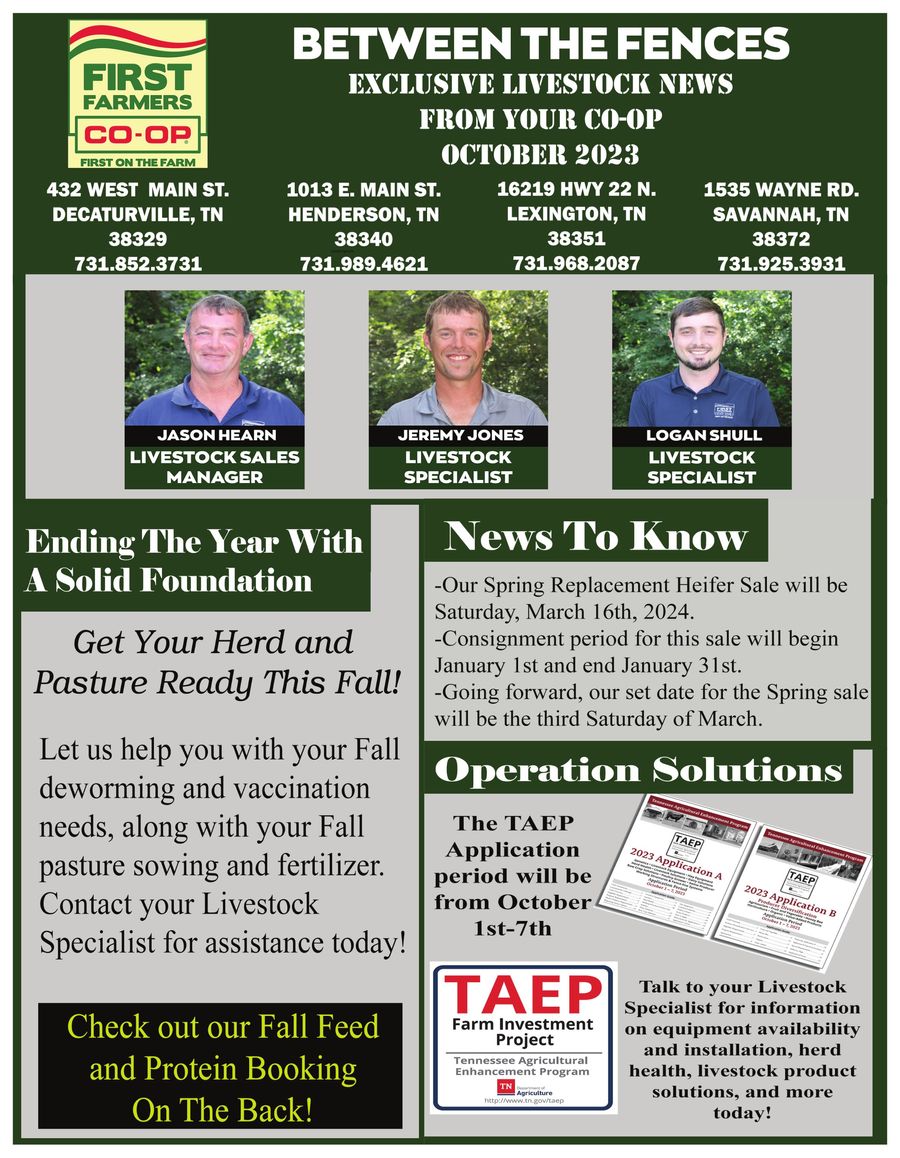 Between The Fences-October 2023 by Rachel Byrd - Flipsnack