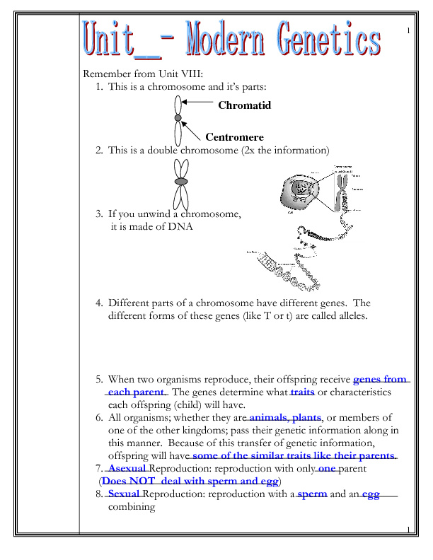 Modern Genetics Notes (filled in) by Amy Balling - Flipsnack