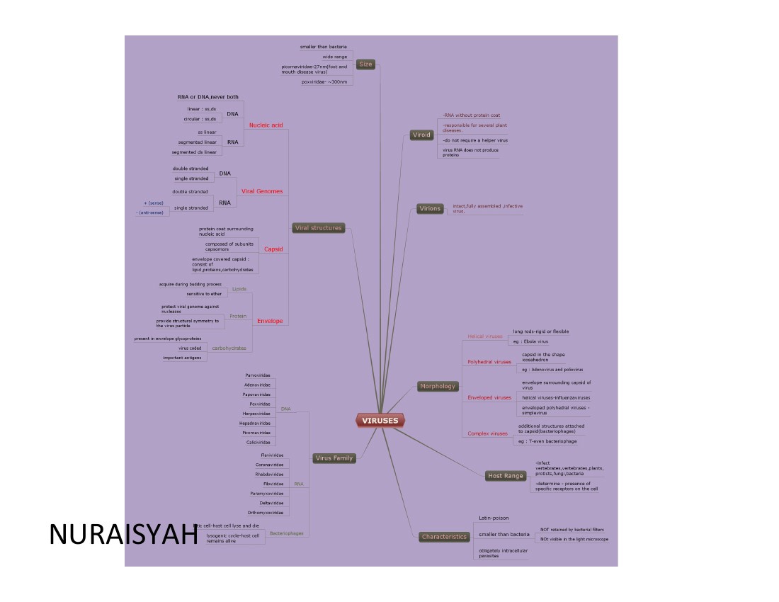Virus Mind Map(2) by wanzuhainis - Flipsnack