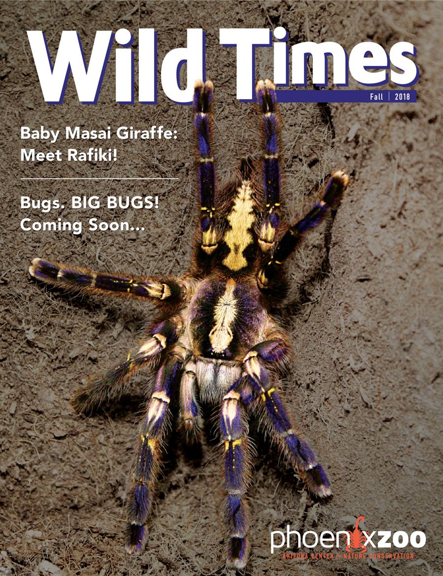 WT Fall 2018 WEB by phxzoo - Flipsnack