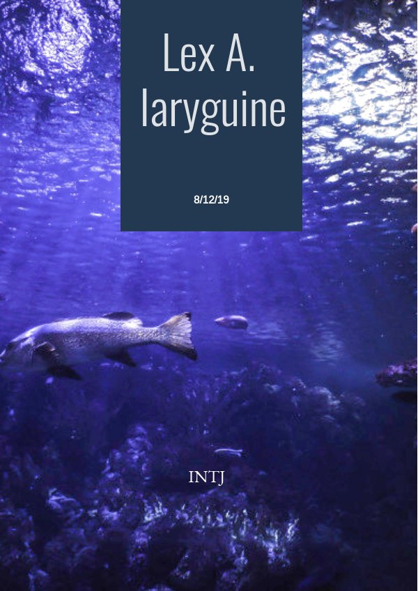 Personality Flipbook by Lex Iaryguine - Flipsnack