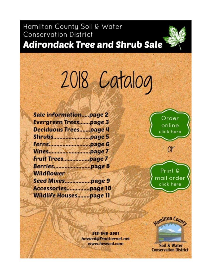 2018 Adirondack Tree and Shrub Sale Catalog by Caitlin Stewart - Flipsnack
