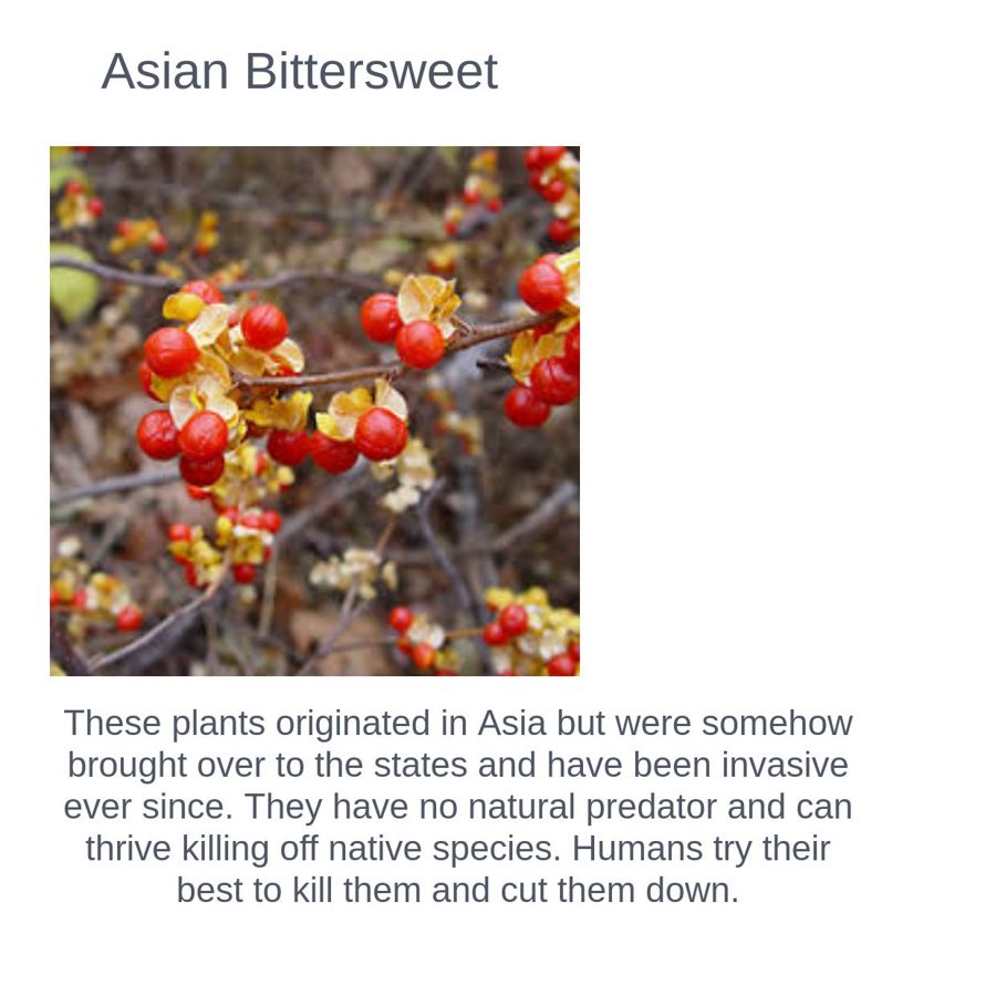 New flipbook by Brett Halloran - Flipsnack