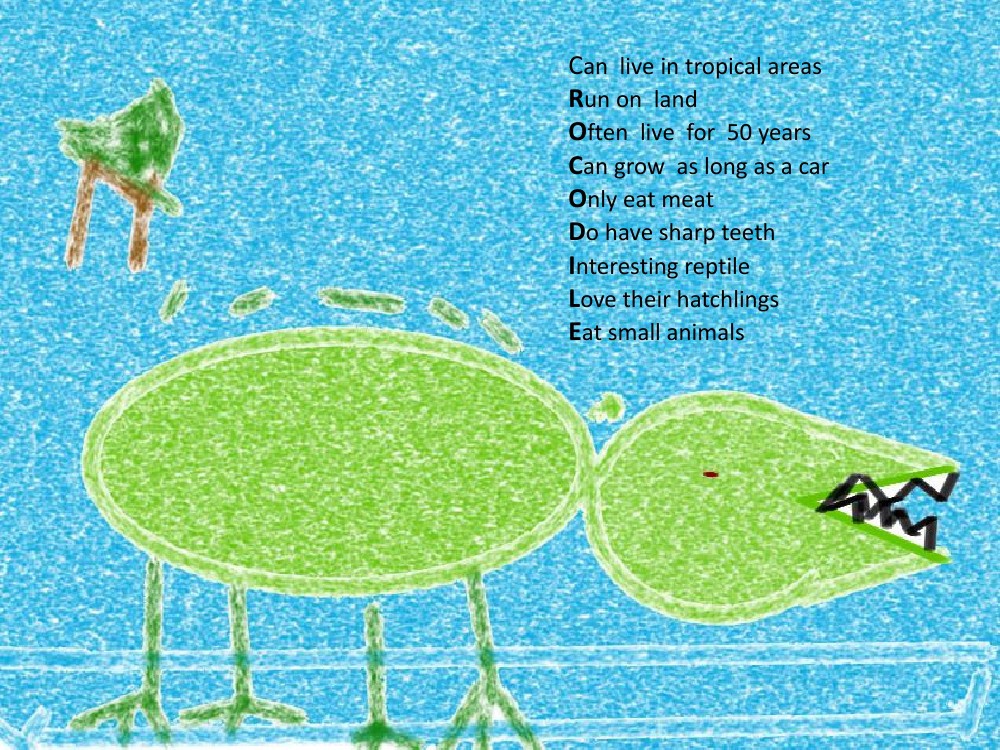 Reptile Poems by Maria Dausch - Flipsnack