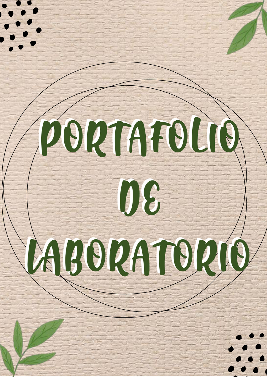 PORTAFOLIO LABORATORIO by Li Auxume - Flipsnack