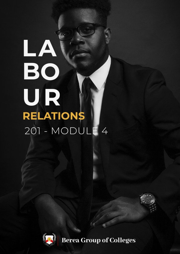 Labour Relations 201 Module 4 By E Publishing
