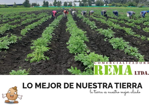 REMA BOOK by ANA MARIA... - Flipsnack