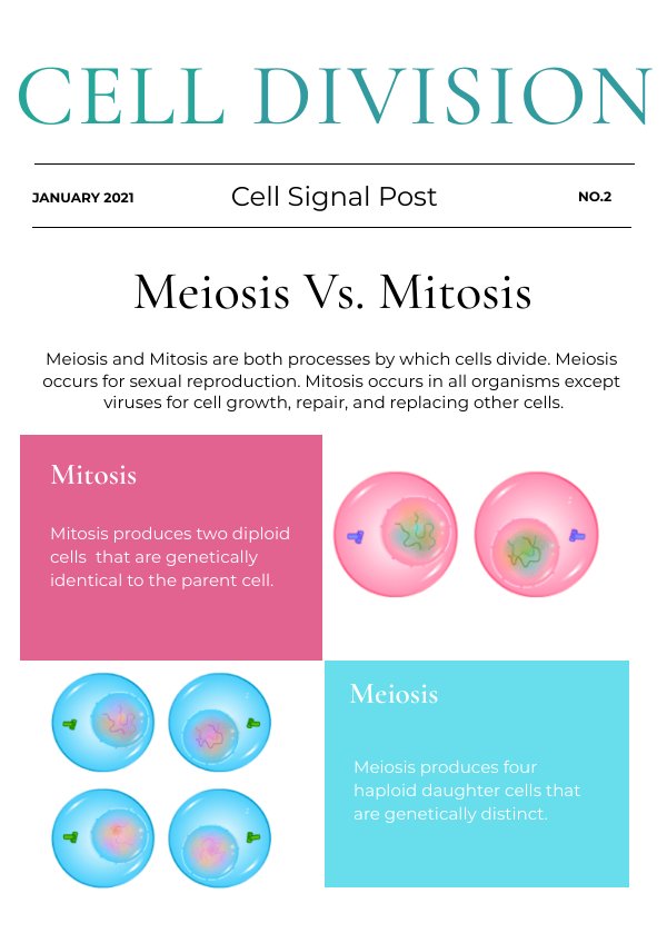 Meiosis vs. Mitosis by Macrina Makar - Flipsnack