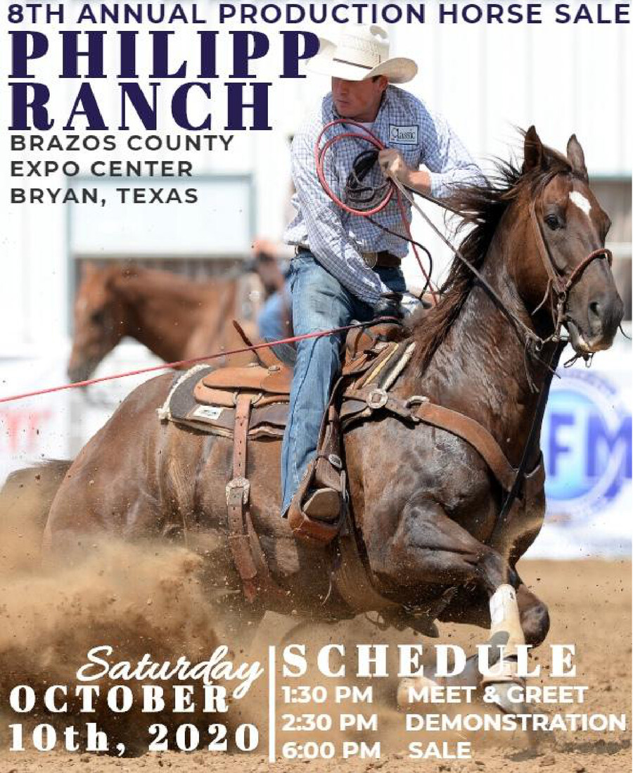 2020 Philipp Ranch Catalog by Laural Hansen - Flipsnack
