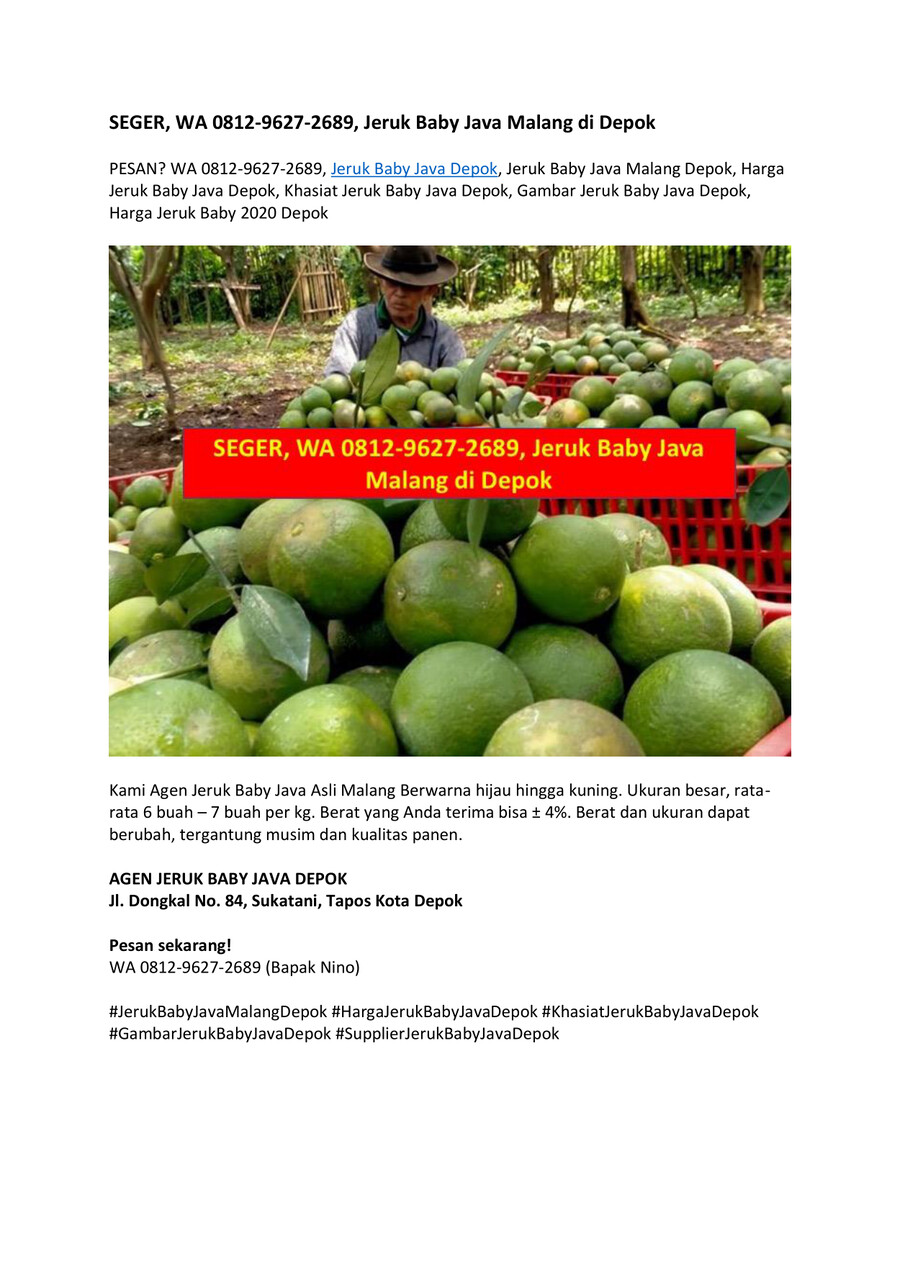 WA 0812-9627-2689, Jeruk Baby Java Malang di Depok by Pusat... - Flipsnack