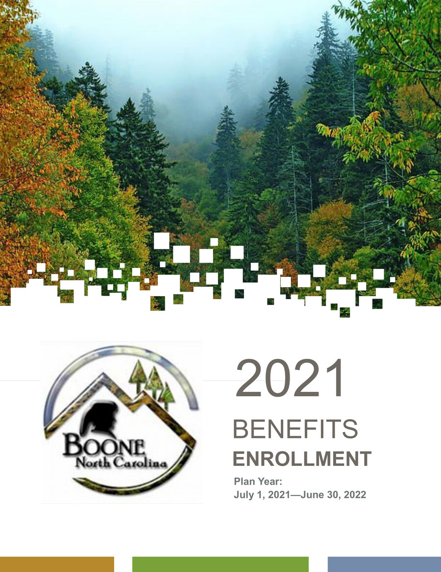 Town of Boone Benefits Guide 2021 by GBScharlotte - Flipsnack