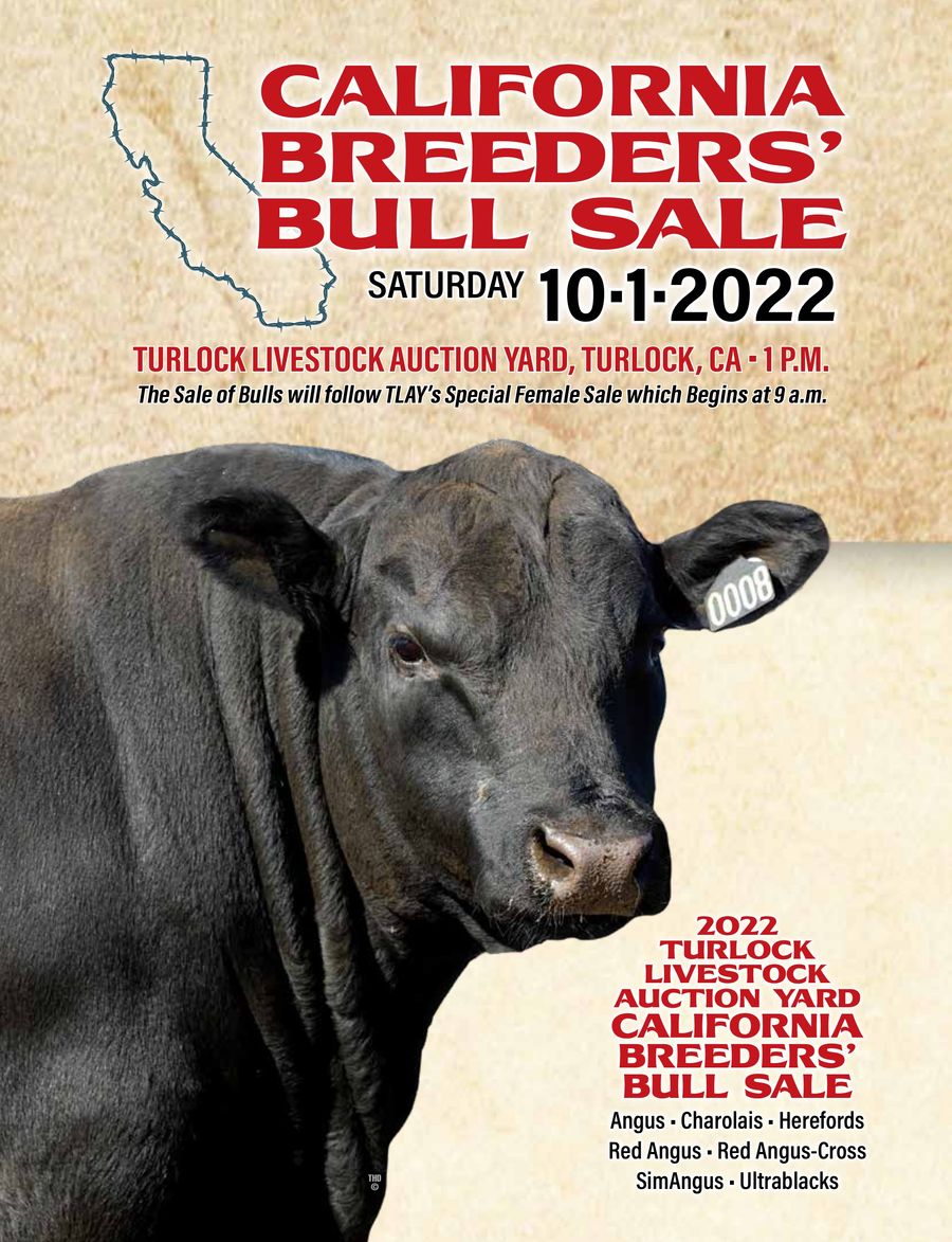 TLAY '22 California Breeders' Bull Sale by Best of the West - Flipsnack