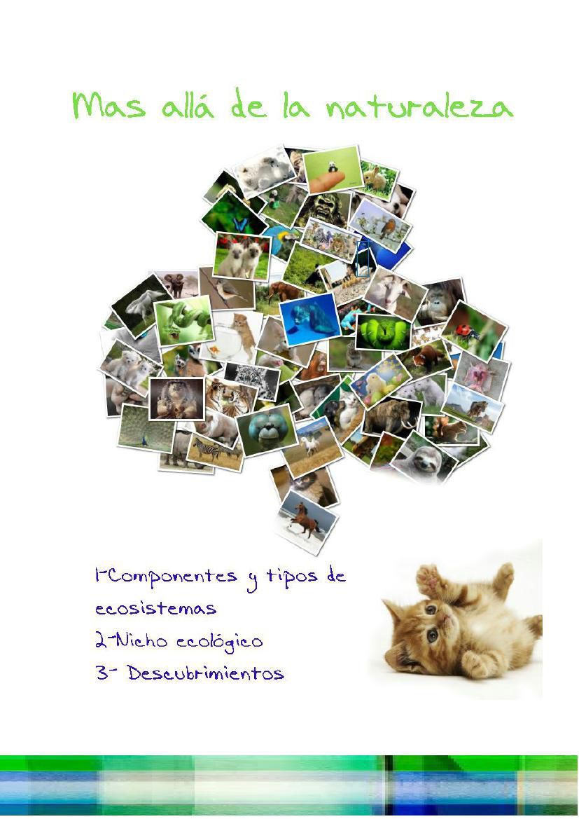 Recopilando información para revista digital (1) by Andrea... - Flipsnack