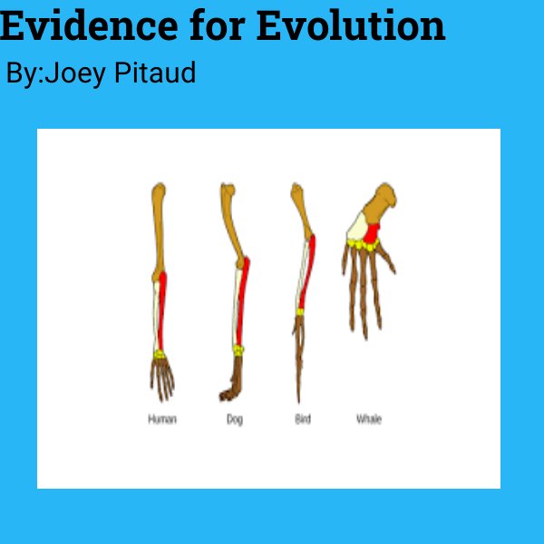 Evidence for Evolution Flipbook by Joalain Pitaud - Flipsnack