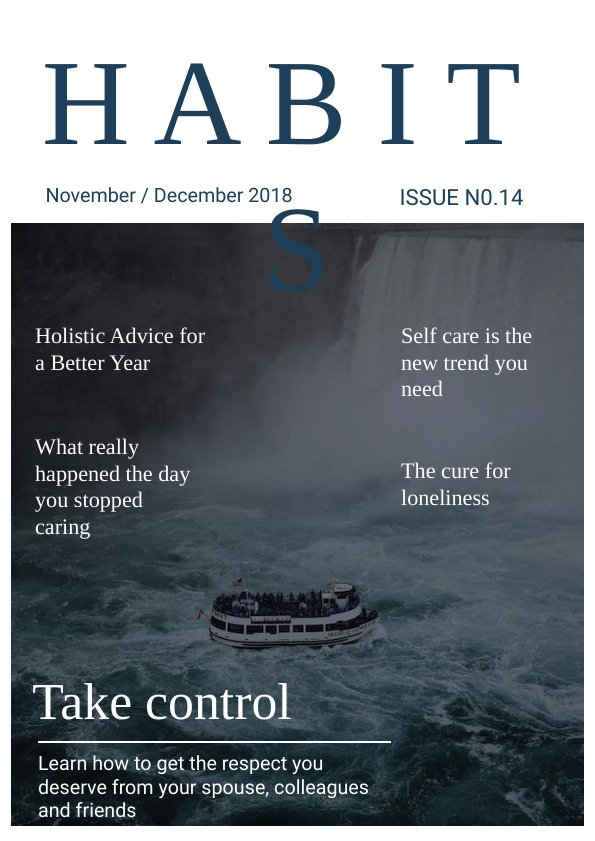 Issue 13 By Habits Magazine Inc