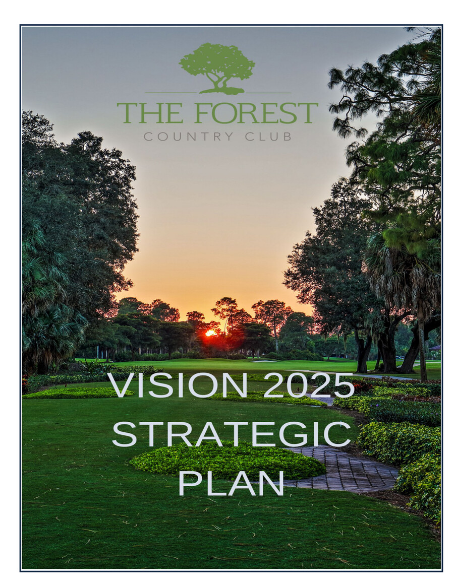 Vision 2025 Strategic Plan Book by Robin - Flipsnack