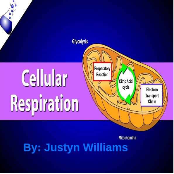 Cellular Respiration Foldable/ Flipbook by justynmagazine - Flipsnack