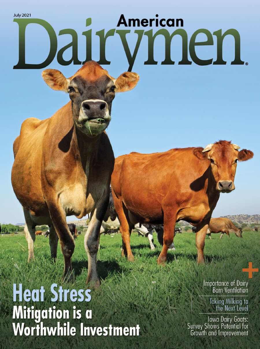 American Dairymen July 2021 by Dustin Hector - Flipsnack
