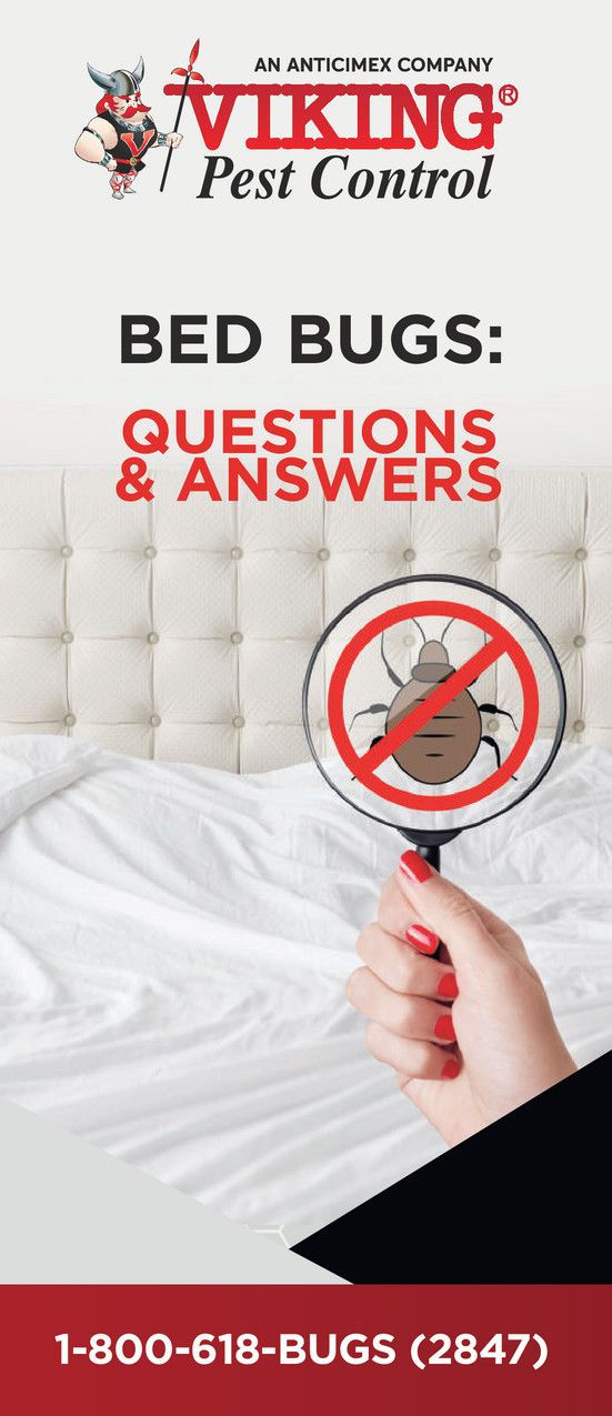 Bed Bug Brochure by Danielle - Flipsnack