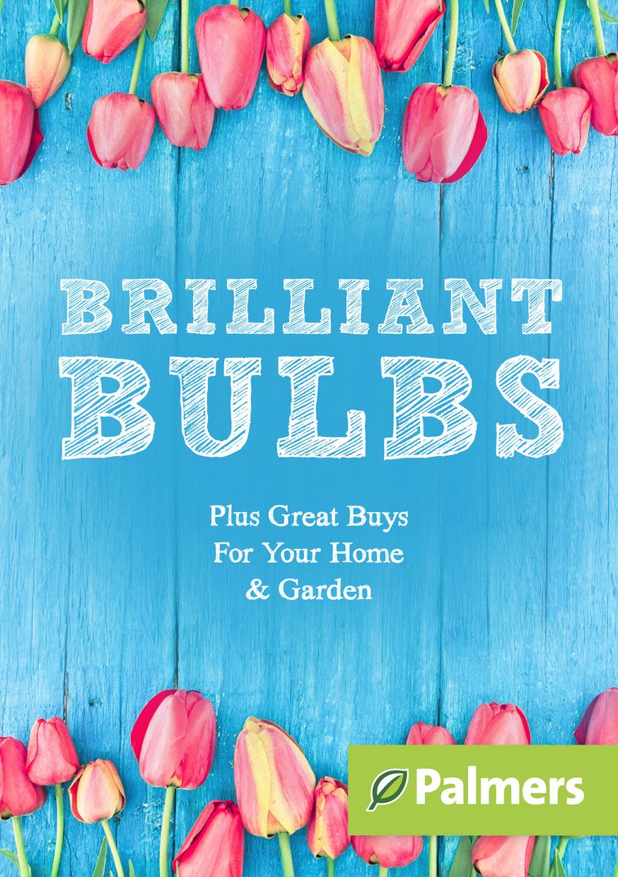 Brilliant Bulbs - Autumn 2017 by Pumpt Advertising - Flipsnack