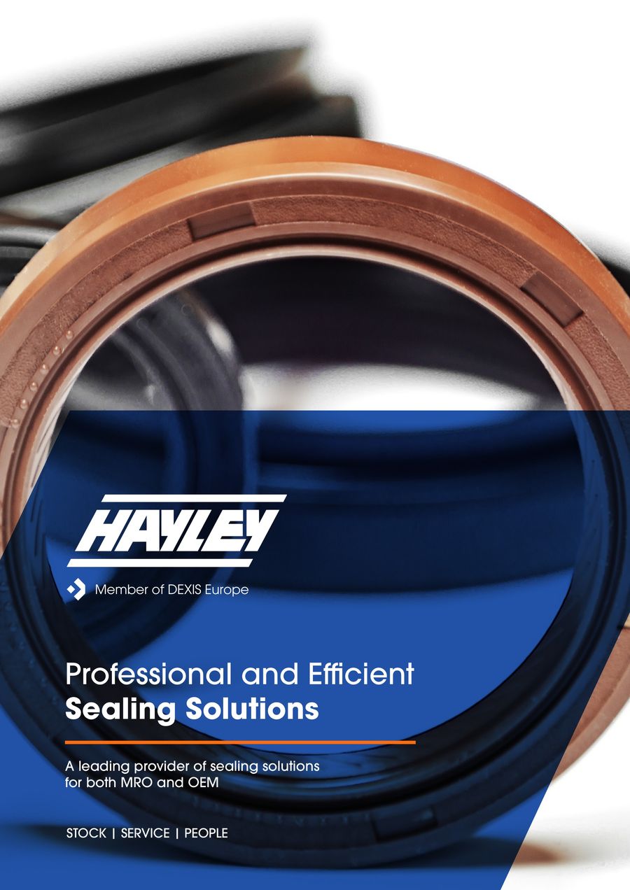 Hayley Seals Brochure by HAYLEY DEXIS - Flipsnack