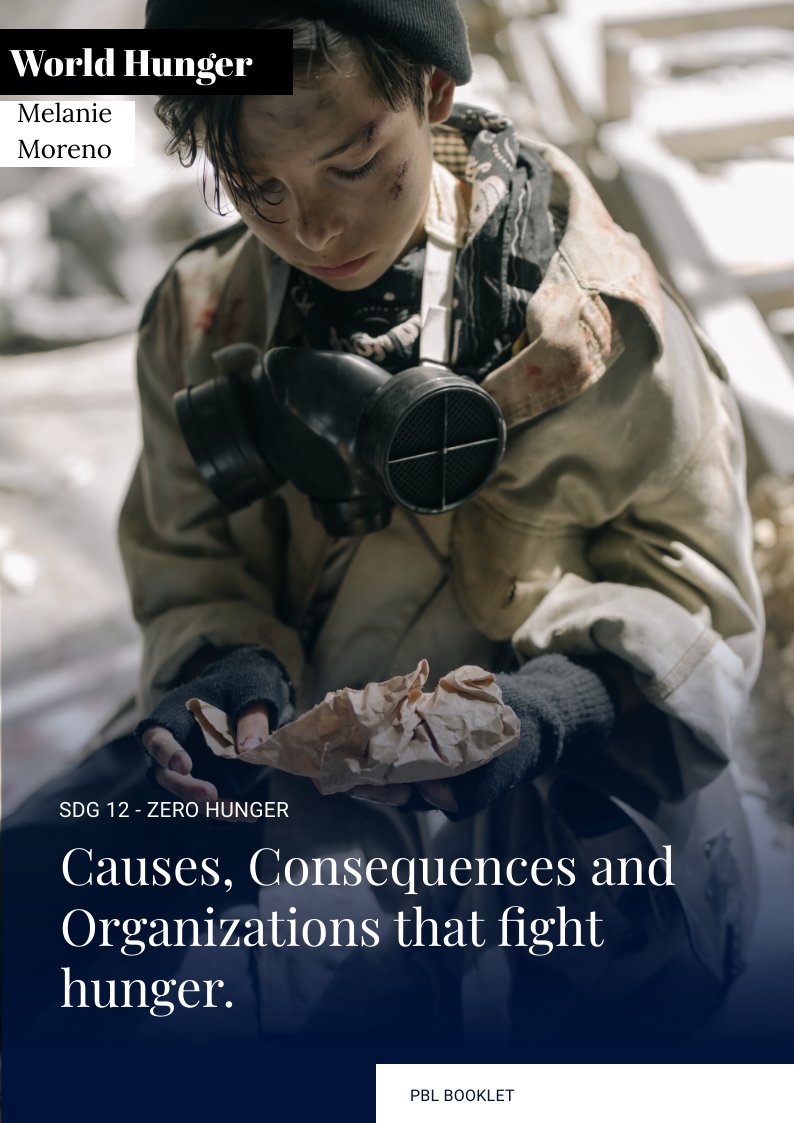 PBL BOOKLET by Mela 2017 - Flipsnack