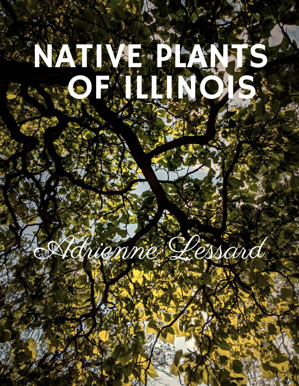 Ms. Lessards Zine Test by Adrienne Lessard - Flipsnack