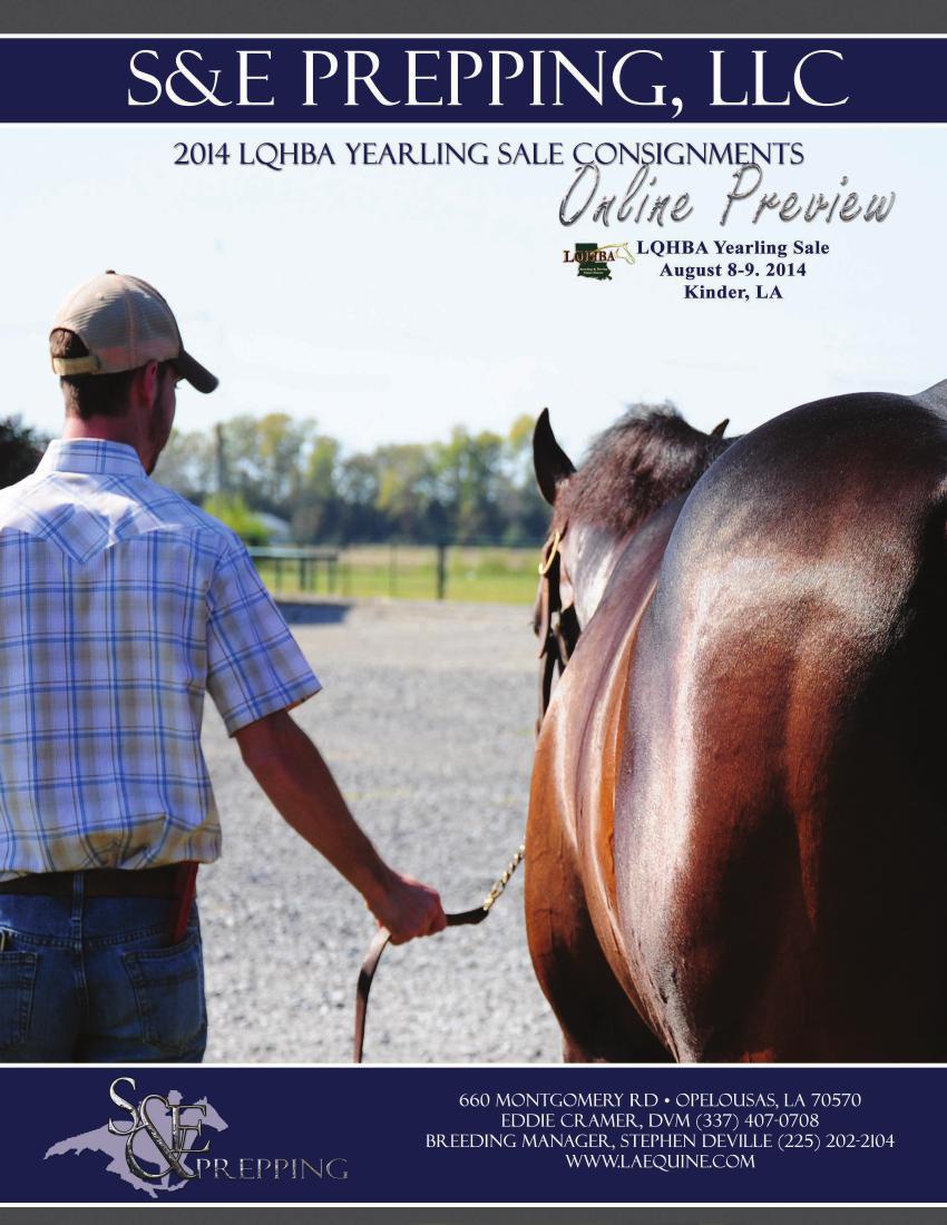 S&E Prepping, LLC 2014 LQHBA Yearling Sale Online Preview by Amanda ...